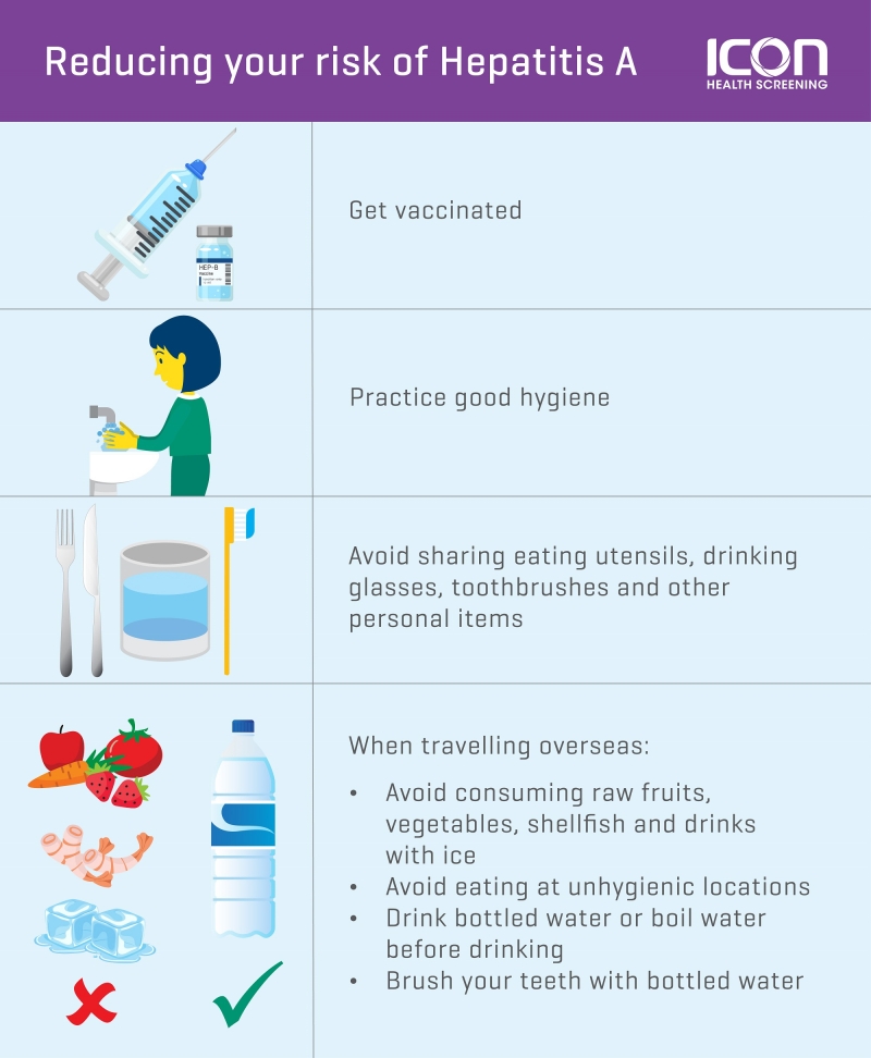 Hepatitis A explained — Icon Health Screening